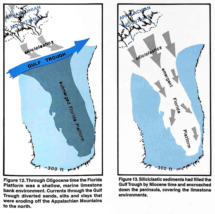 History – Defenders of Crooked Lake