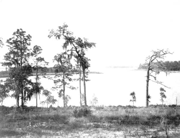 History – Defenders of Crooked Lake