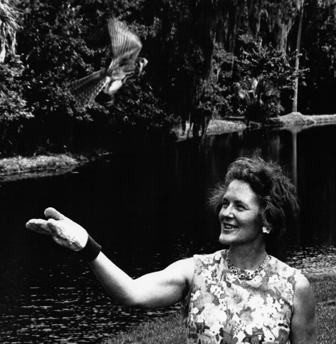 In Memoriam: Helen Morrison – Defenders of Crooked Lake