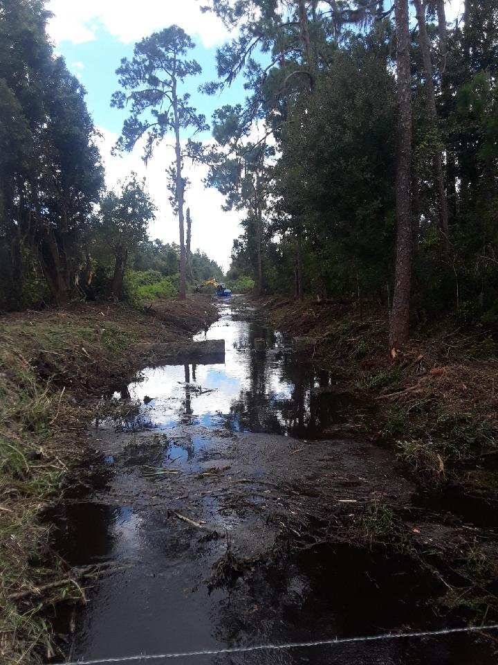 A History of High Water Levels on Crooked Lake – Defenders of Crooked Lake