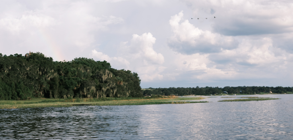 Simple Lakefront Landscaping Examples – Defenders of Crooked Lake